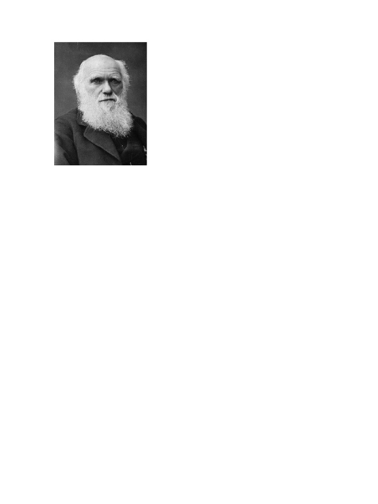 Imágenes de Historia | PDF