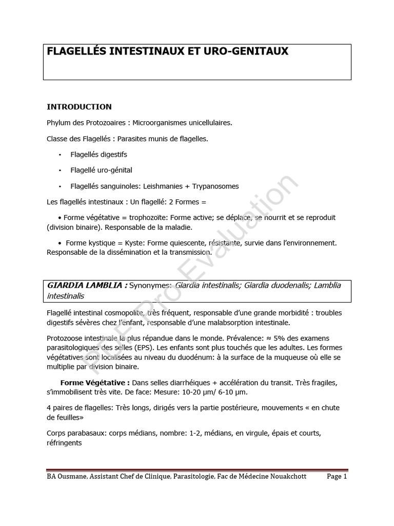 Poly-FLAGELLÉS INTEST-UROG 2021-22 | PDF | Épidémiologie | Médecine ...