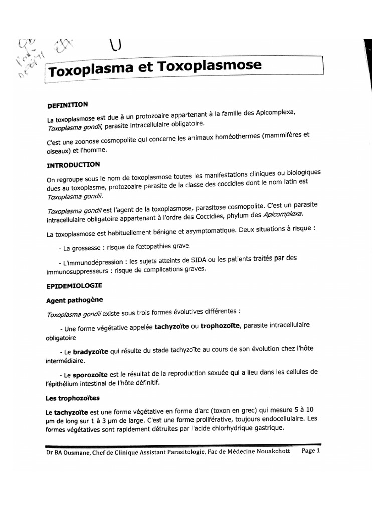 Toxoplasma Et Toxoplasmose | PDF