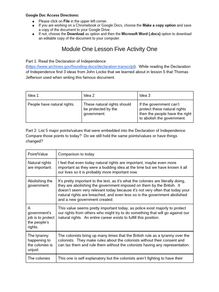 Copy of Module One Lesson Five Activity One | PDF | Computing | Software