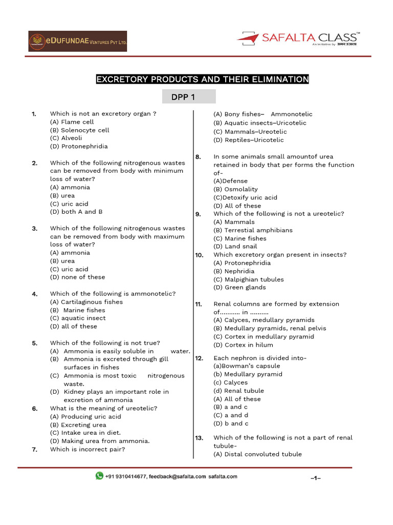 Final DPP Excletory 5fe71b6e3f2e6 | PDF | Kidney | Urinary System