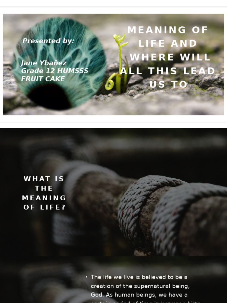 Meaning of Life | PDF | Meaning Of Life