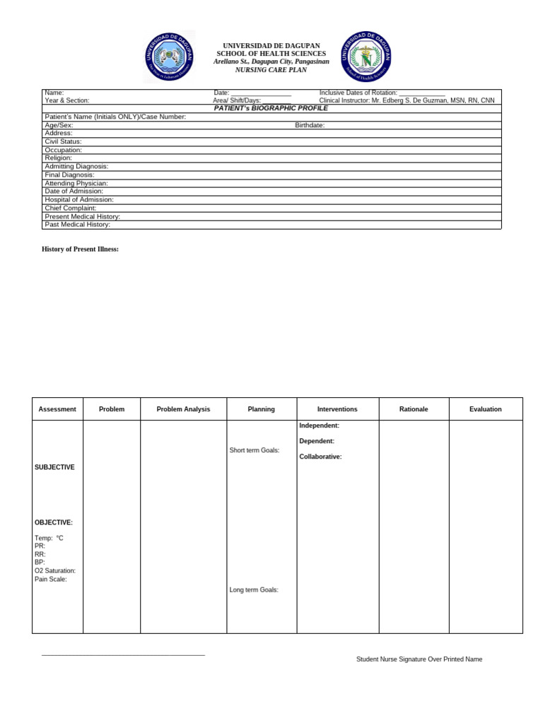 Nursing Care Plan Template | PDF