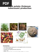 Asexual Reproduction | PDF | Potato | Organisms