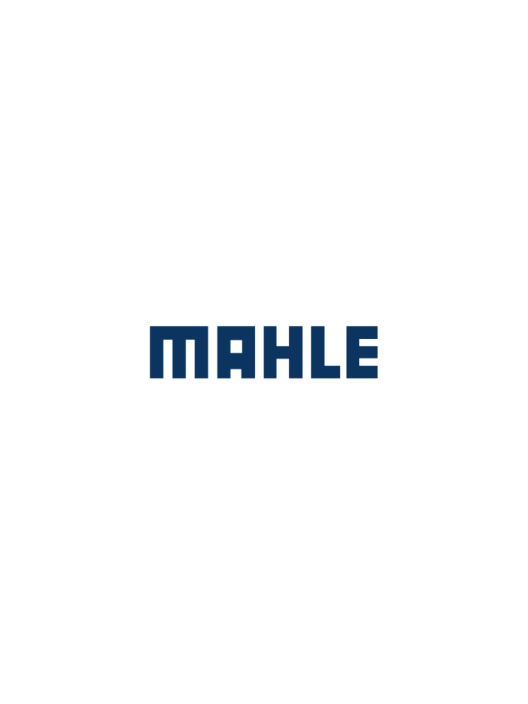 Logo Mahle 2024 P294 | PDF