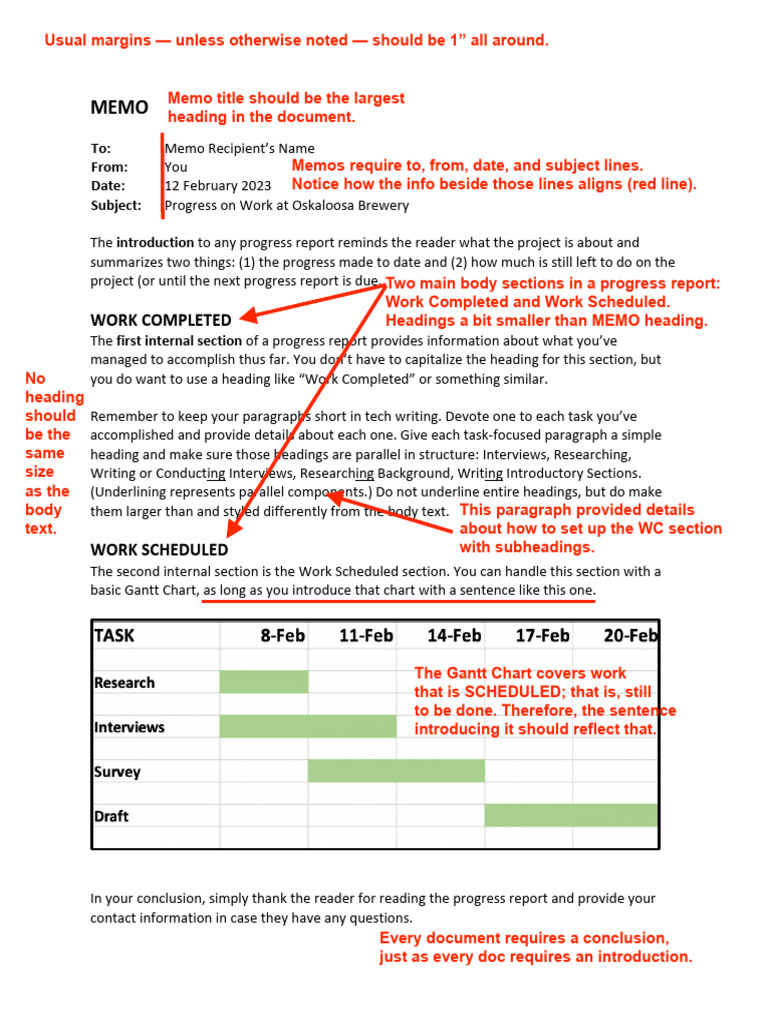Progress Report Structure W NOTES | PDF