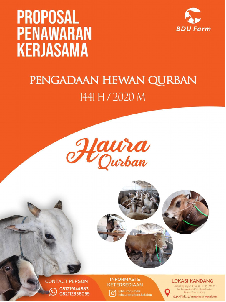 Proposal Qurban 2020 | PDF