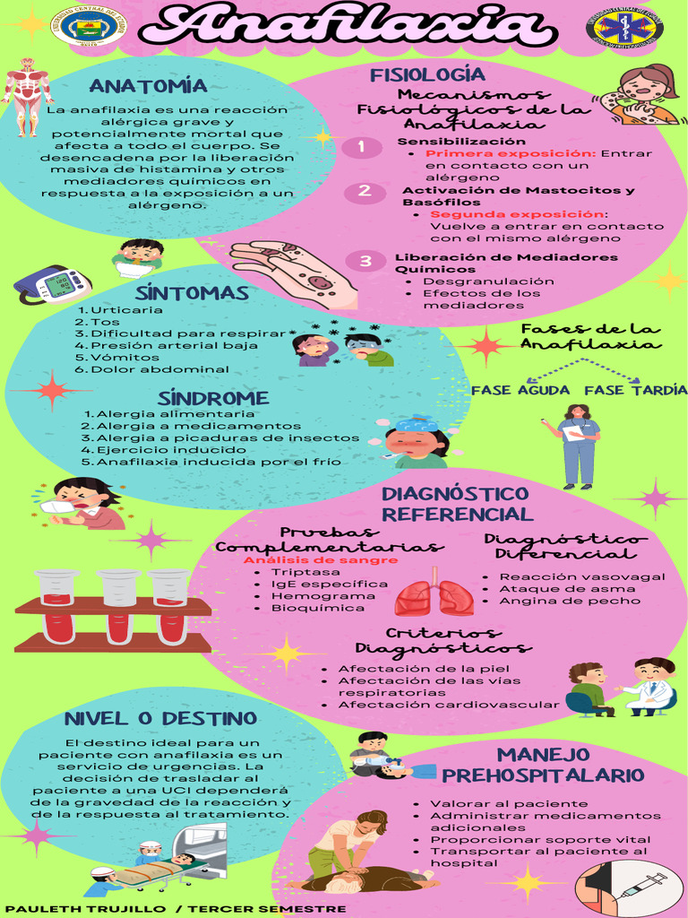Infografía Anafilaxia | PDF | Alergia | Causas de la muerte