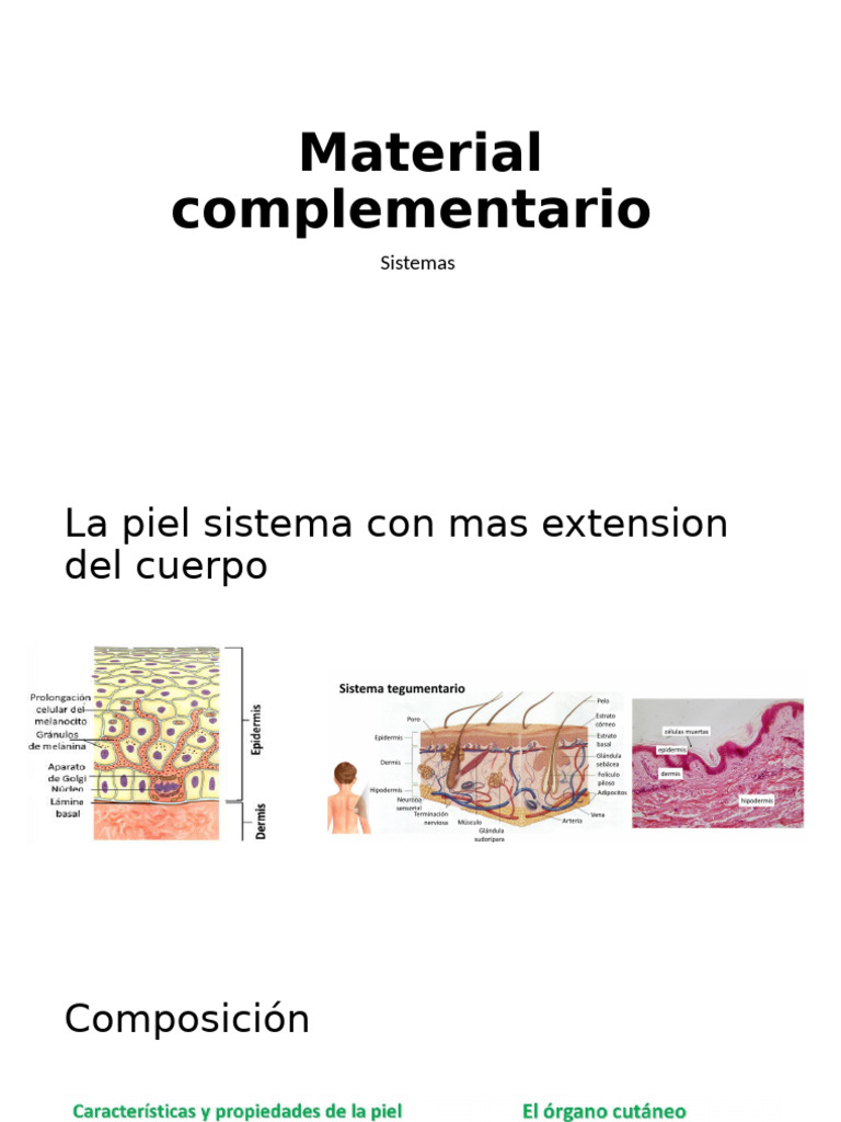 Sistem As Modifi CA Do | PDF