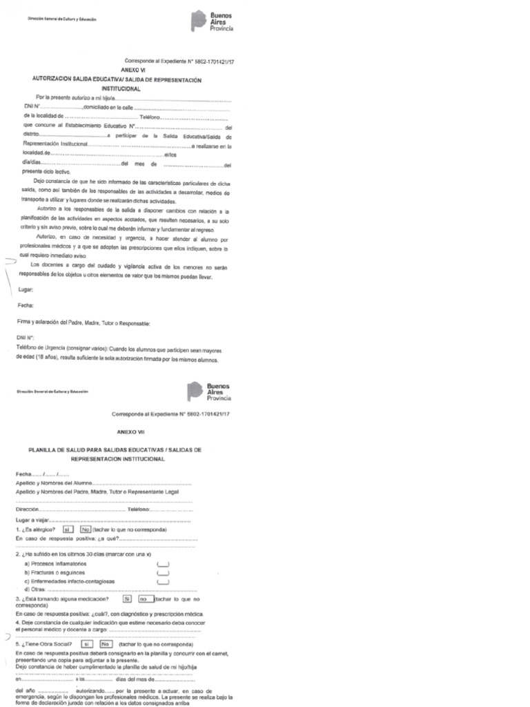 Anexo VI y VII | PDF