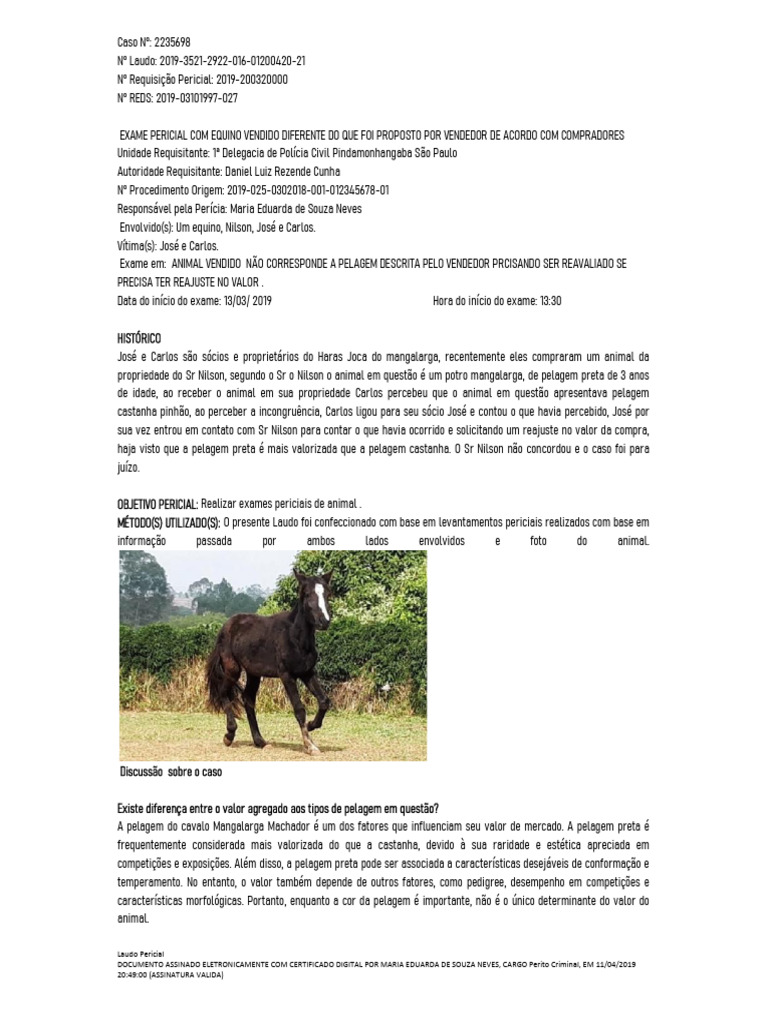 Laudo Vet Grupo Kellen, Maria Ed.,Daniel e Vitor Hugo, Turno Manha Una Barreiro | PDF | Cavalos