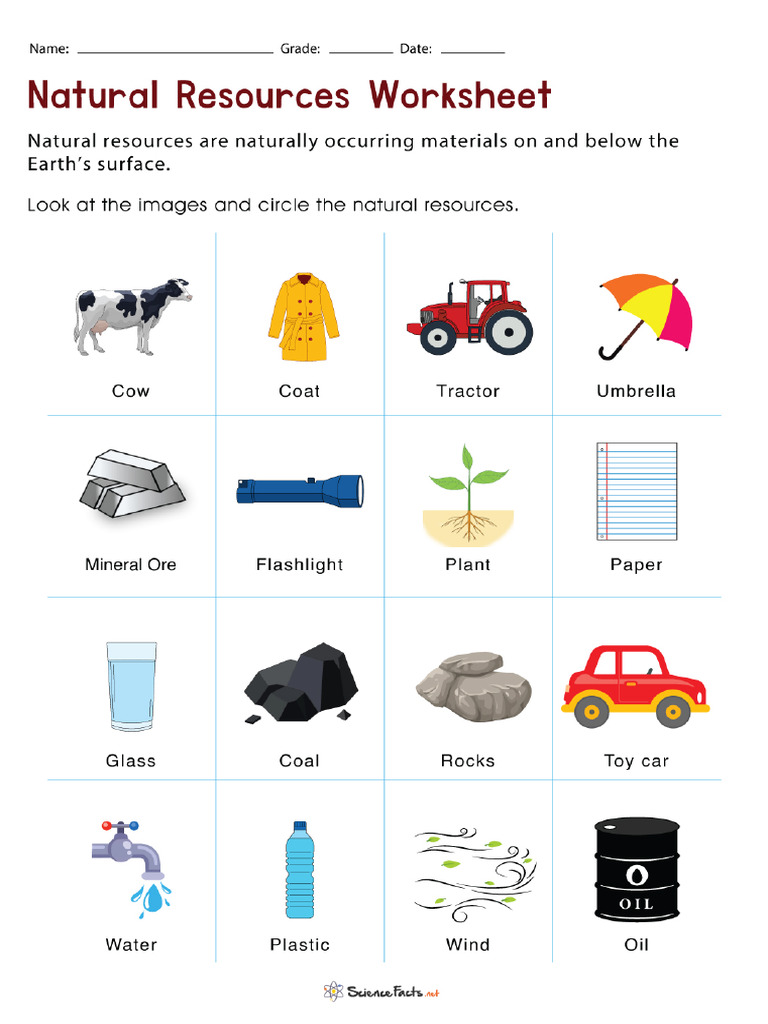 Natural-Resources-Worksheet 1 | PDF