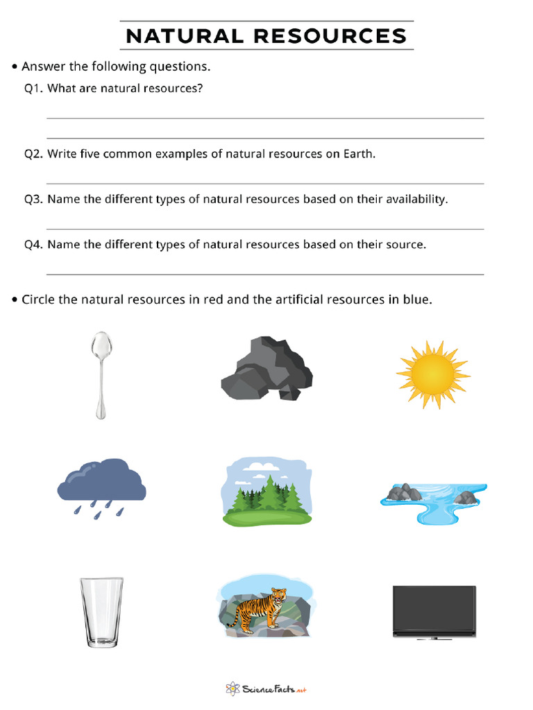 Natural Resources Worksheet 8th Grade | PDF