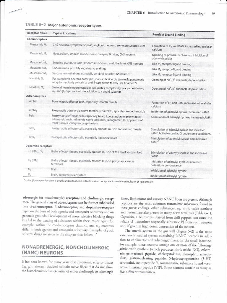 Major Autonomic Receptors, Their Distribution and Mechanism | PDF