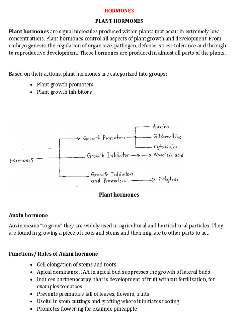 7.1 Hormones - Plant Hormones | PDF | Plant Hormone | Auxin