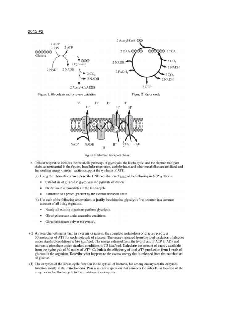 AP BIO Unit 3 Released FRQs 3 | PDF