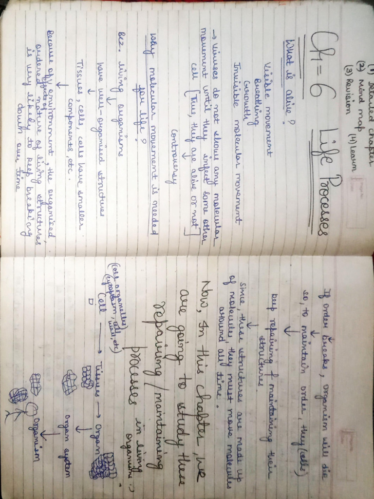 Life Process Complete | PDF