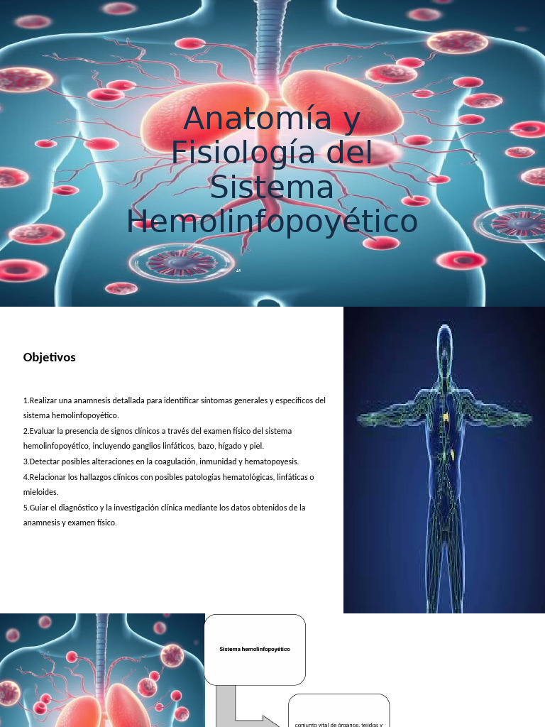 Semio II.todo Taller.2 | PDF | Leucemia | Sangre