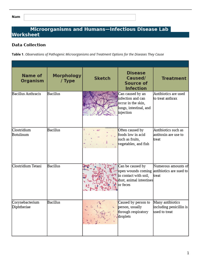 Lab_12_Worksheet.docx | PDF | Streptococcus | Infection