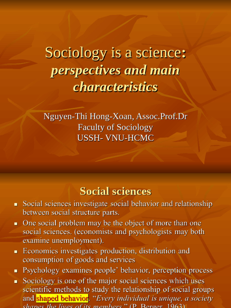 Understanding Sociology: Key Perspectives | PDF