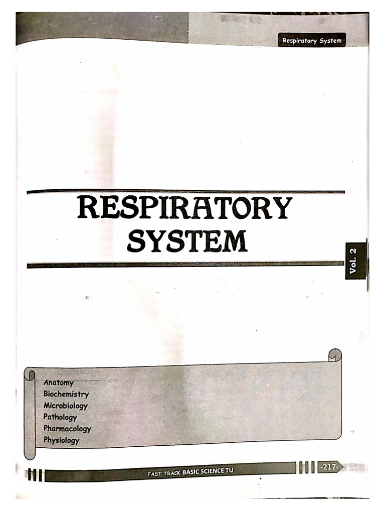 Respiratory System FT | PDF