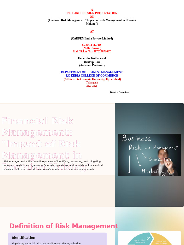 Risk Management Safeguarding Organization - Final | PDF | Risk ...