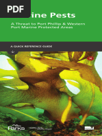 Palia Complete Fish Checklist | PDF | Fish