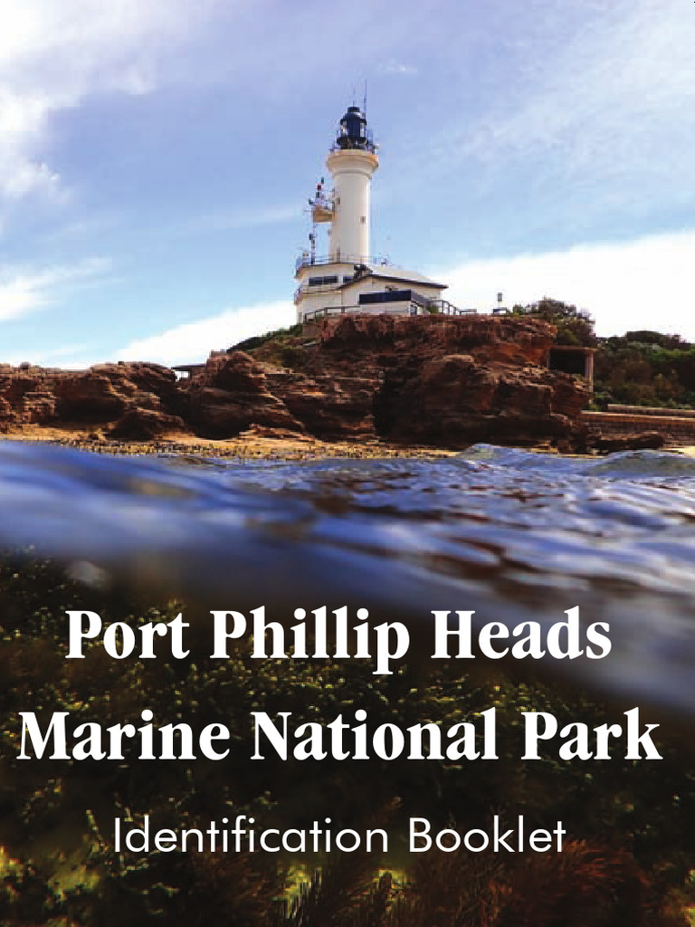 Port Phillip Heads Marine Park Guide | PDF