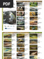 Official Fisch Value List | PDF