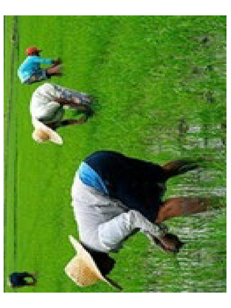 TARPAPEL (LONG size) | PDF