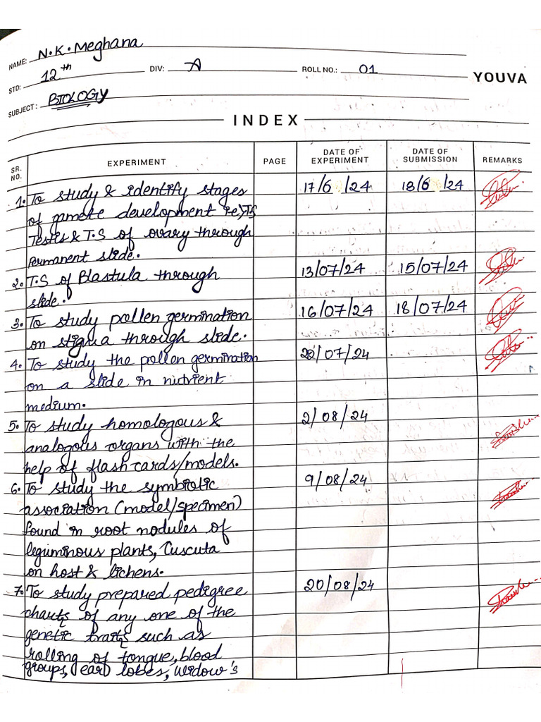 Class 12 Lab Manual Final | PDF