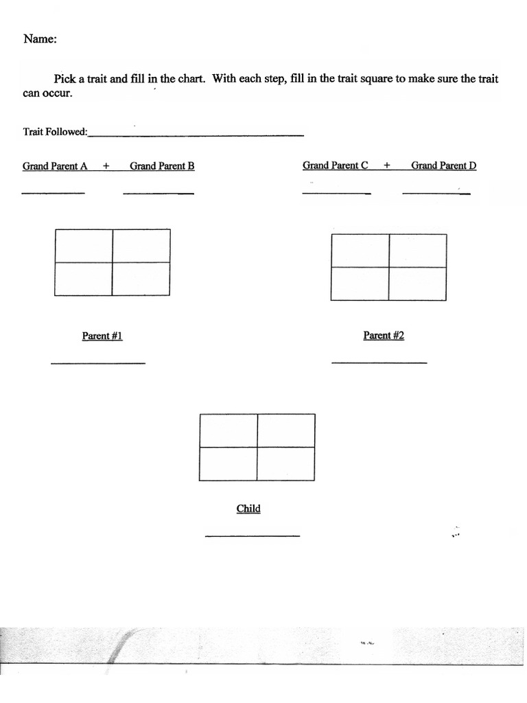 Punnet Square | PDF