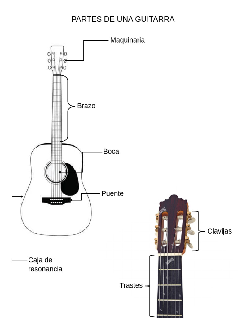 PARTES DE UNA GUITARRA | PDF