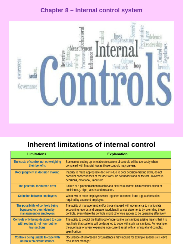 C8 - Internal Control System | PDF | Risk | Risk Management
