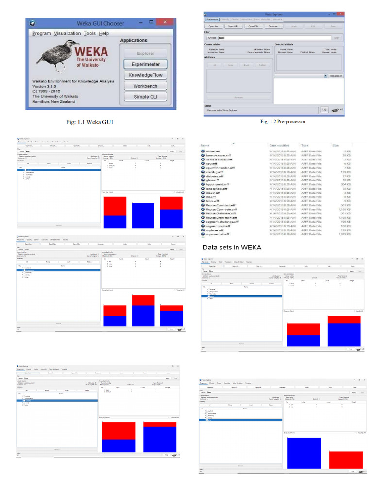 Data Sets in WEKA | PDF