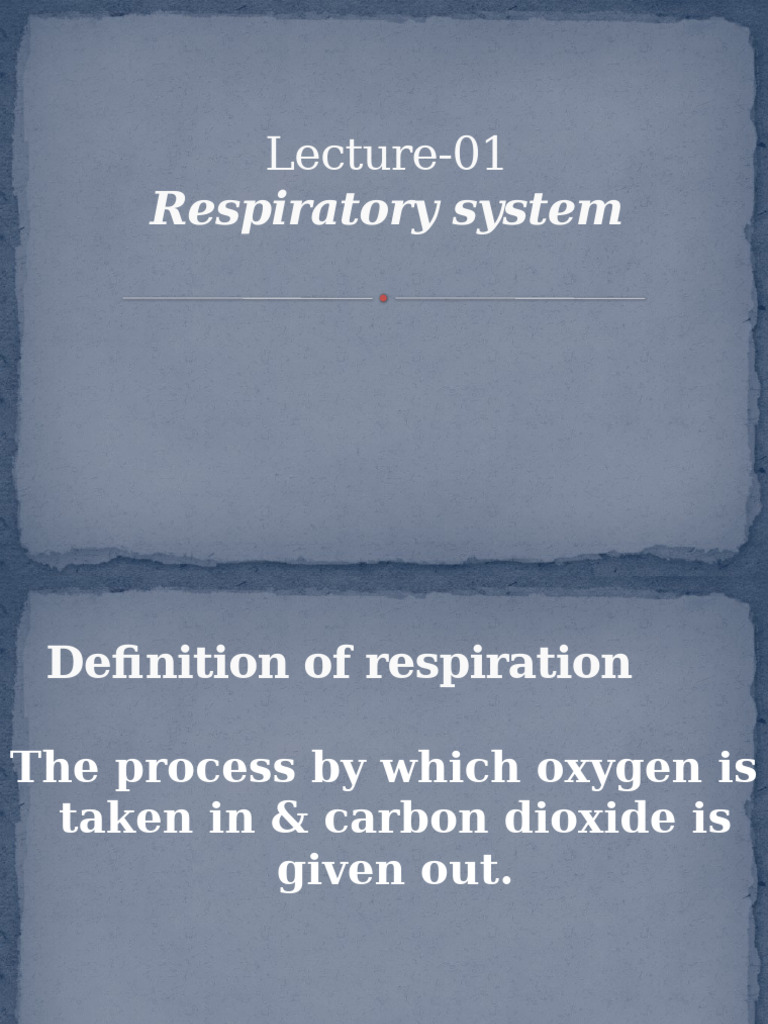 Respiratory System | PDF