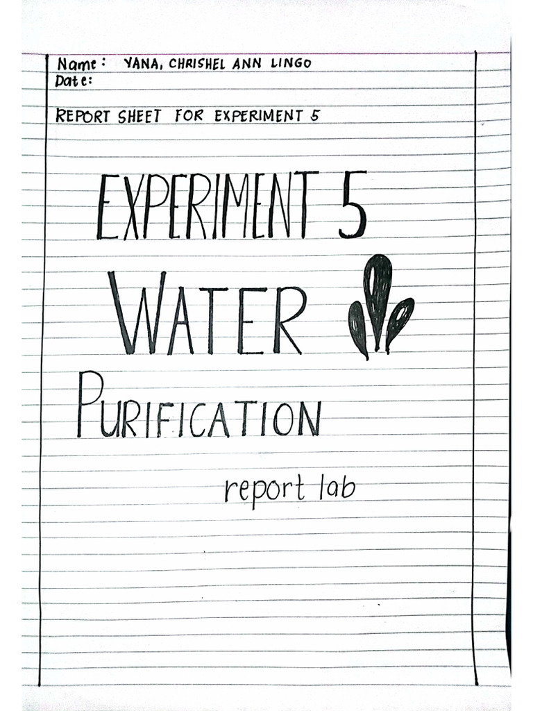 Chem Lab Report Answer Exp 5 6 (1) | PDF