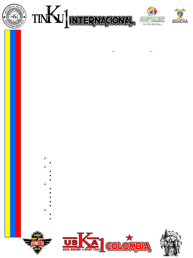 Criterios de Participacion TINKU Internacional 2024 | PDF