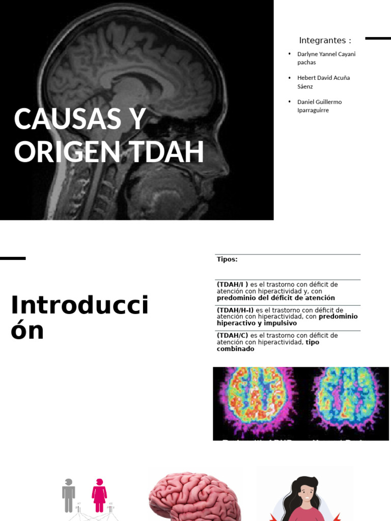 Causas y Origen TDAH | PDF