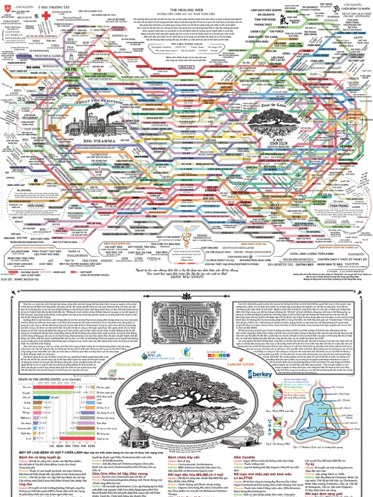 The Healing Web (Việt) | PDF