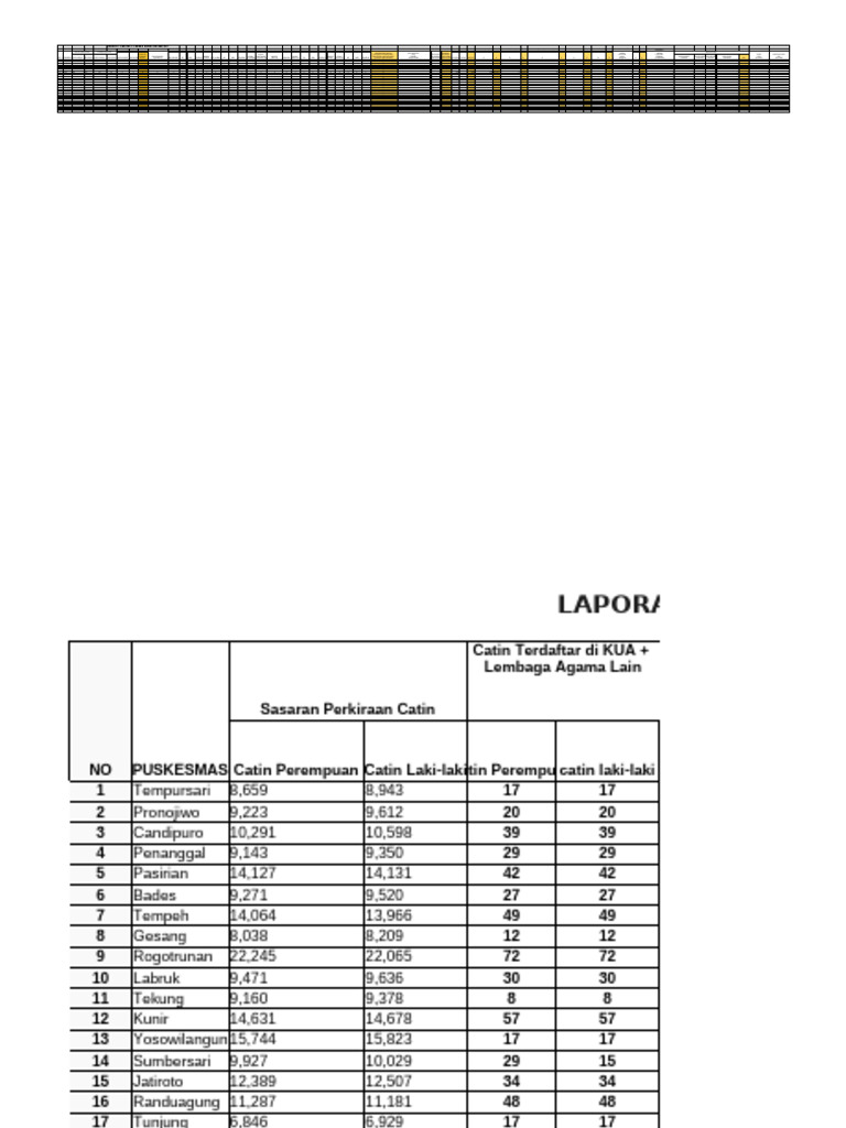 Laporan Kespro Catin Pus 2024 | PDF