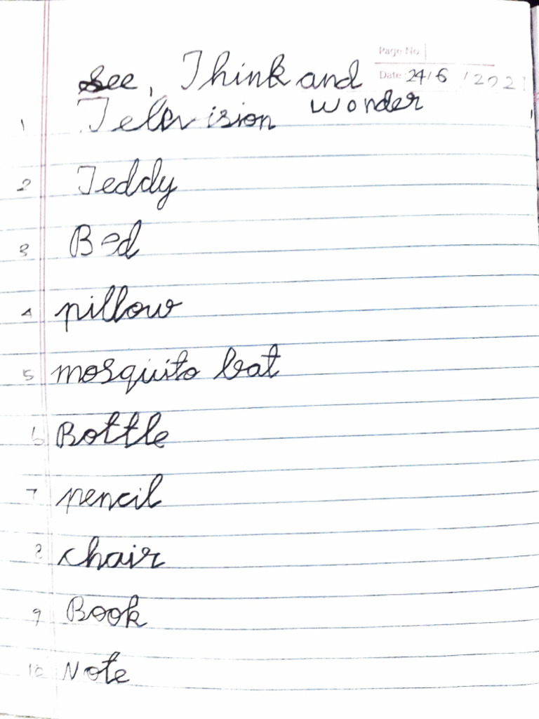 See Think and Wonder | PDF