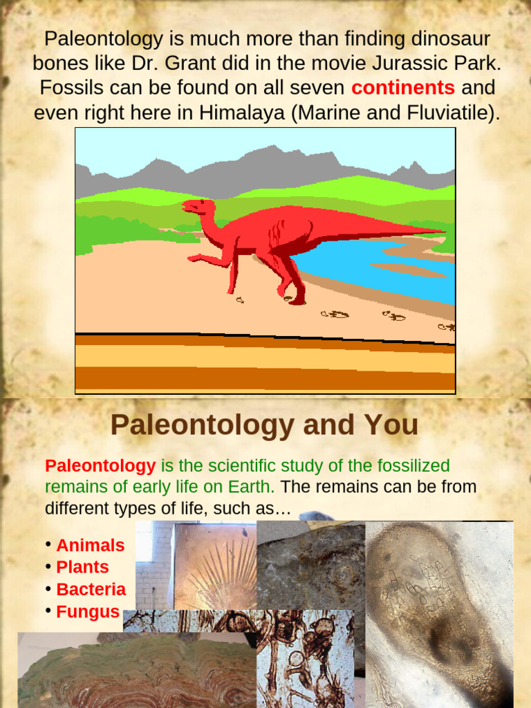 Introduction To Paleontology | PDF | Fossil | Paleontology