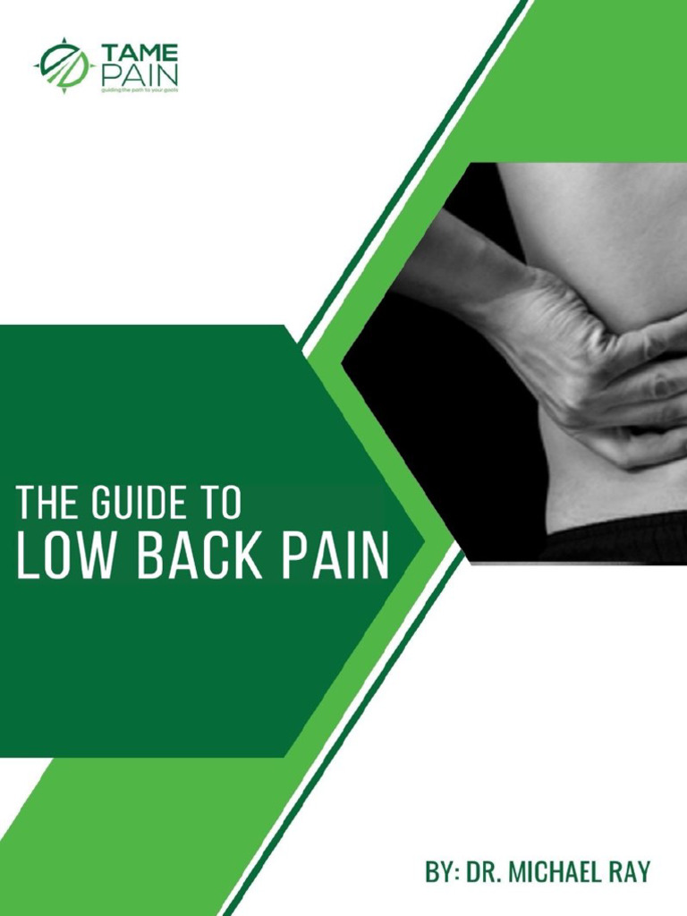 The Guide To Low Back Pain | PDF | Scoliosis | Low Back Pain