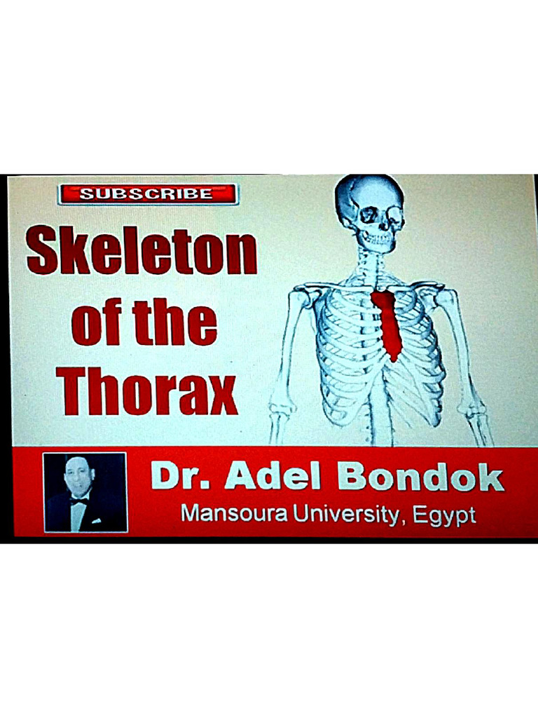DR Adel Bondok Skelton of The Thorax | PDF