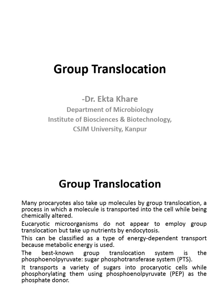 Group Translocation Iron Transport Bacteriorhodopsin | PDF ...
