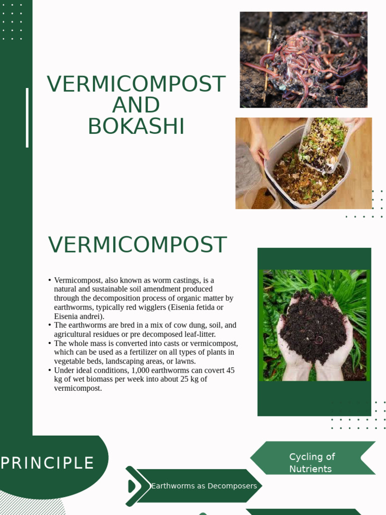 Vermicomposting Process Overview | PDF | Compost | Horticulture