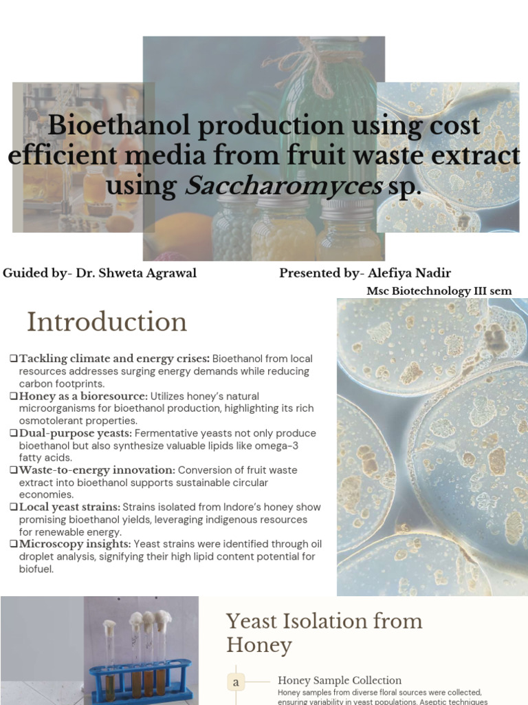 Bioethanol Production | PDF | Yeast | Fermentation