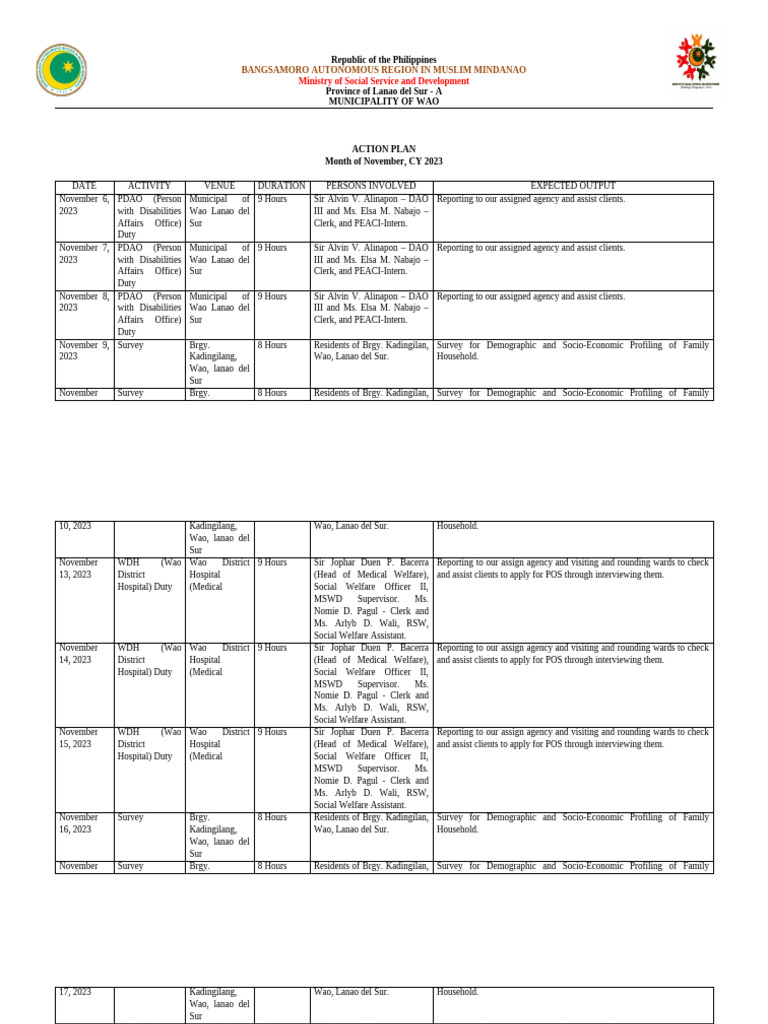 BAO Action Plan | PDF
