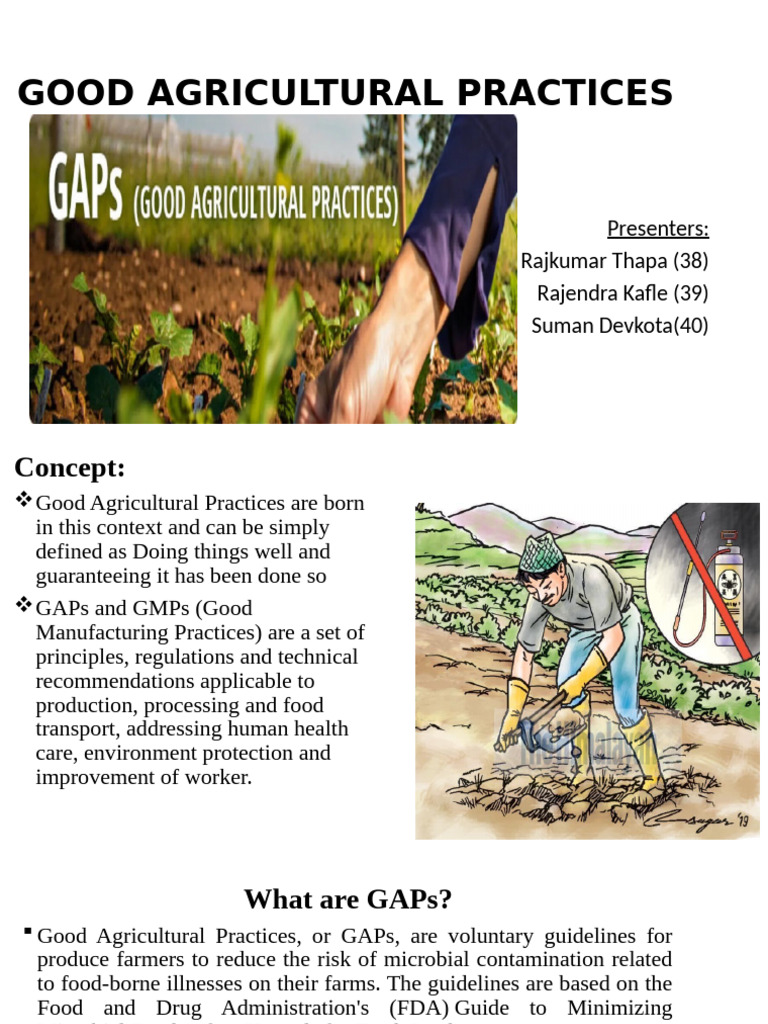 Understanding Good Agricultural Practices | PDF | Agriculture | Food Safety